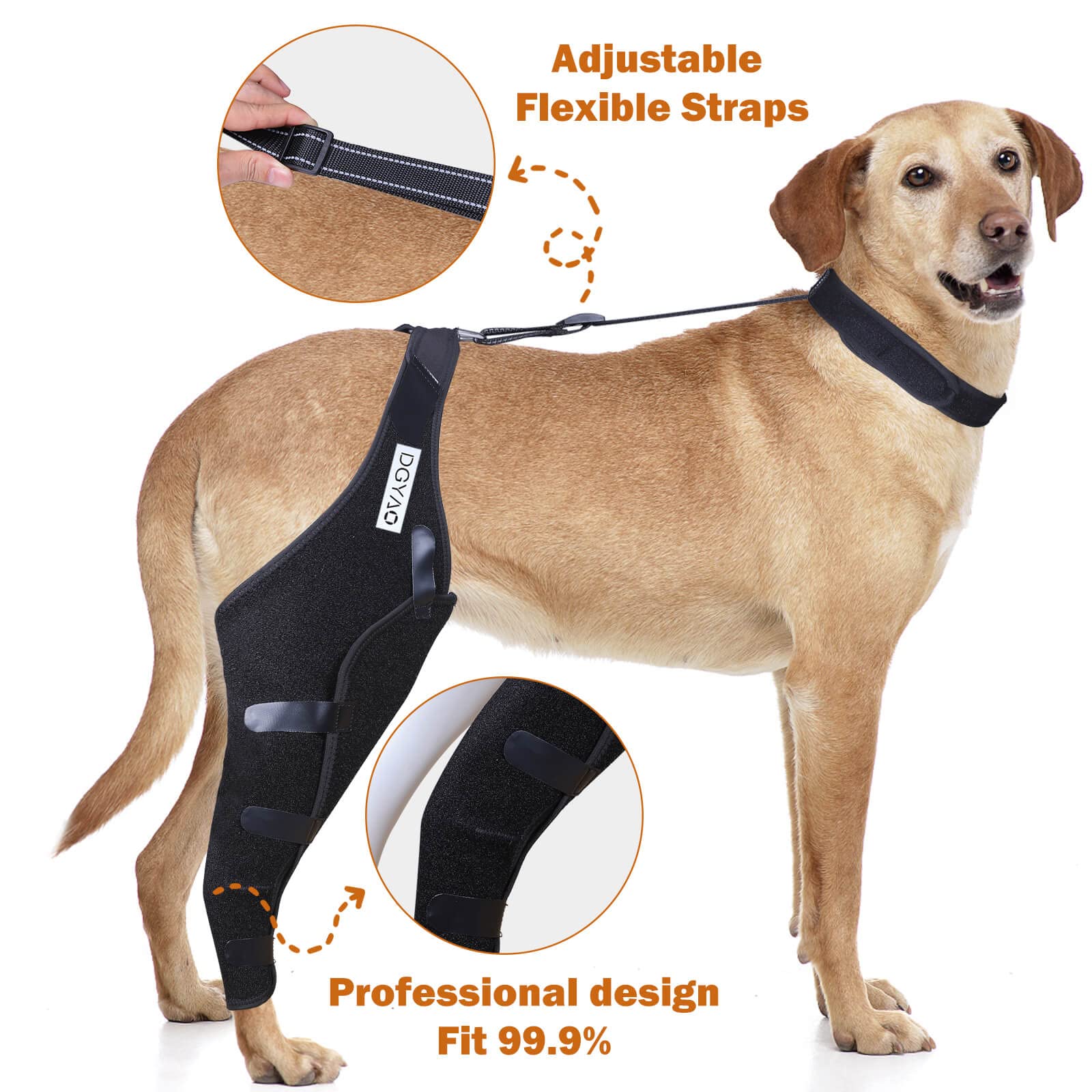 DGYAO Dog Knee Brace for ACL, Knee Cap Dislocation, Arthritis - Full Wrap - Easy Adjustable - Extra Support - Reduces Pain and Inflammation β Full Sizes