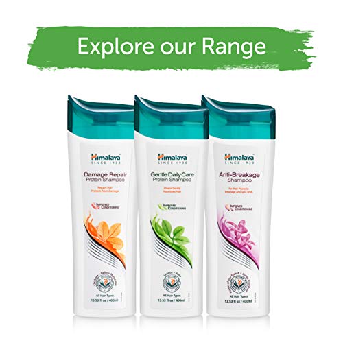 Himalaya Gentle Daily Care Protein Shampoo for Soft, Shiny, Healthy-Looking Hair, 13.53 oz, 2 Pack