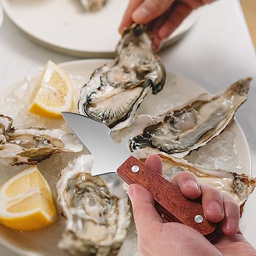 Home Tools Oyster Shucking Knife 2pcs Oyster Knife Shucker Set Oyster Shucker Clam Knife with Wood Handle Seafood Opener for Kitchen Chef Picnic Grilling