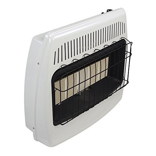 Dyna-Glo IR30NMDG-1 30,000 BTU Natural Gas Infrared Wall Heater