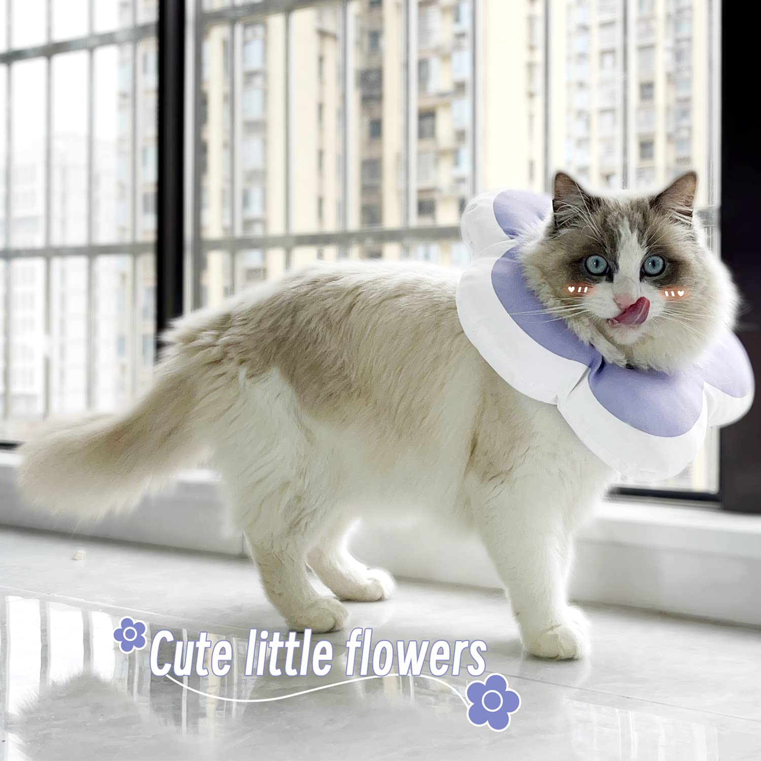 KUDES Cat Cone Collar,Cute Flower Waterproof Elizabethan e Collar for Cat and Small Dog Anti-Bite Lick Wound Healing Protective Neck Cone After Surgery Recovery Collar for Small Pet,All-Season Style