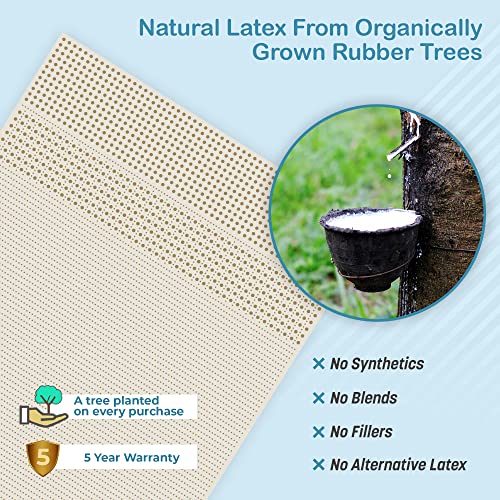 Latex Mattress Topper (Queen / 2 inch/Firm)