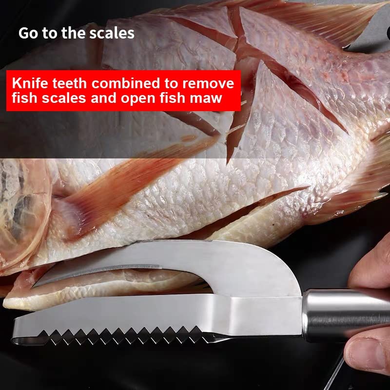 DABONGKEER 4 PCS Stainless Steel Fish Scaler and Gutting Knife Multifunctional Seafood Tool for Removing Scales Cleaning Fish and Shrimp ，430 Hot Treatment