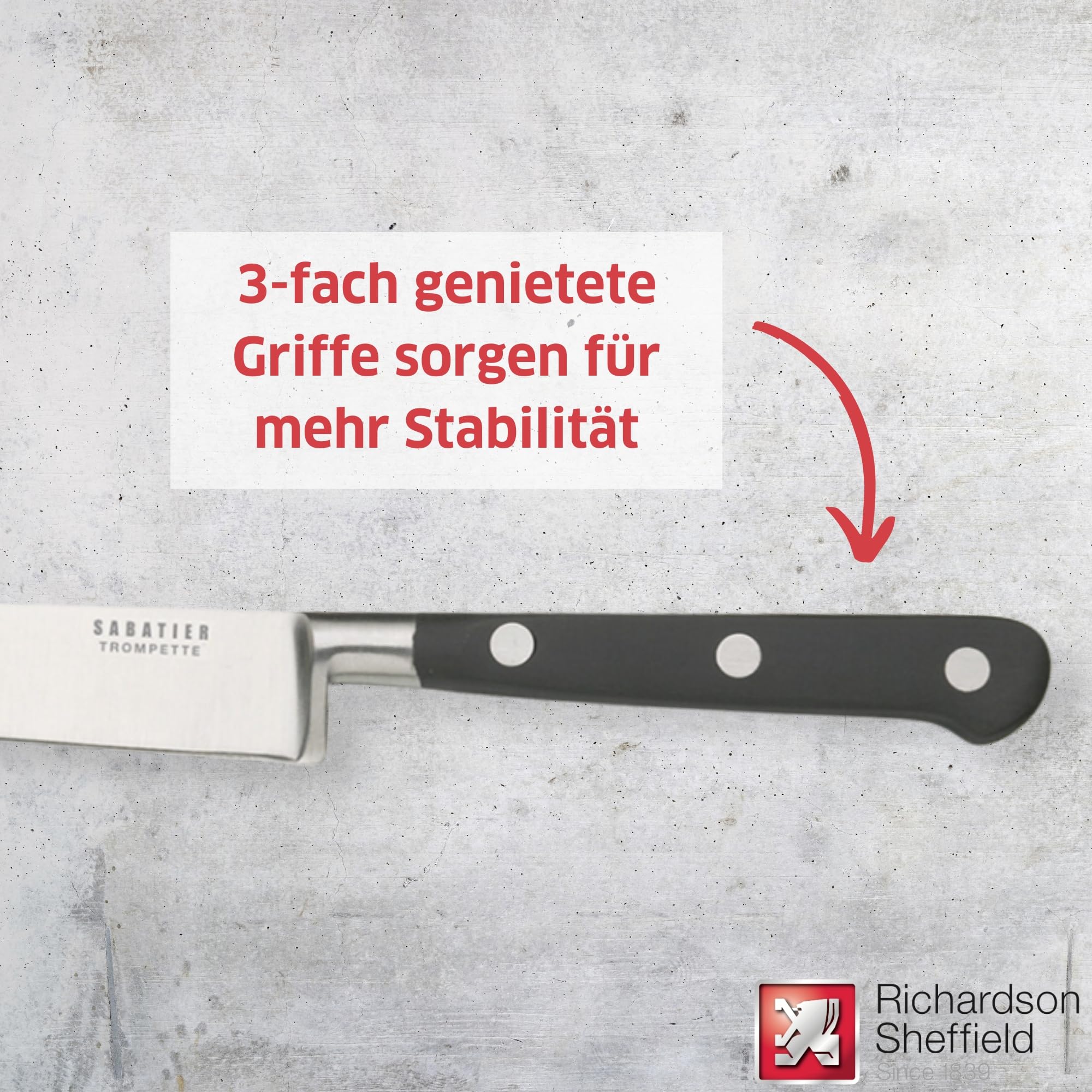 RICHARDSON SHEFFIELD R08000P101116 Sabatier Trompette All Purpose Knife, Silver