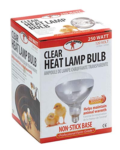 Little GiantĀ® Bulb for Brooder Lamp | Heat Lamp | 6000 Hour Life | 250 Watt | Clear Bulb