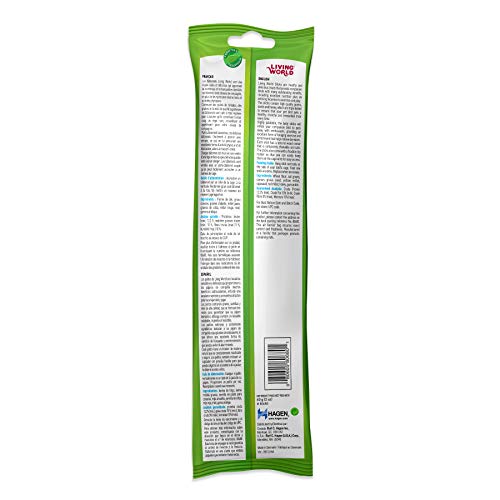 Living World Canary Honey Treat Sticks, 2-Ounce