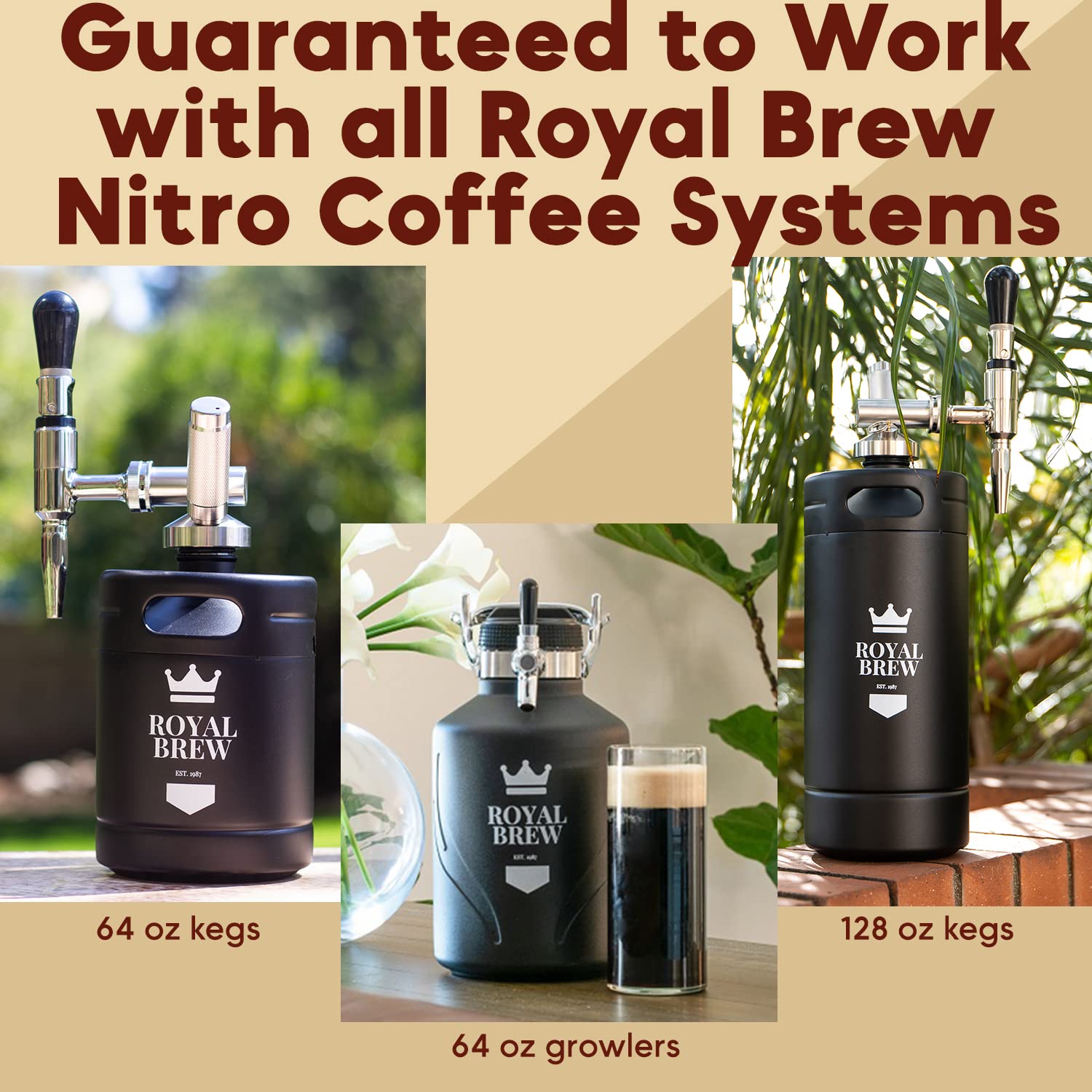 Royal Brew 10 Pack Nitrogen Chargers for Nitro Cold Brew Coffee Makers - N2 Cartridges - Works With All Royal Brew Nitro Coffee Systems