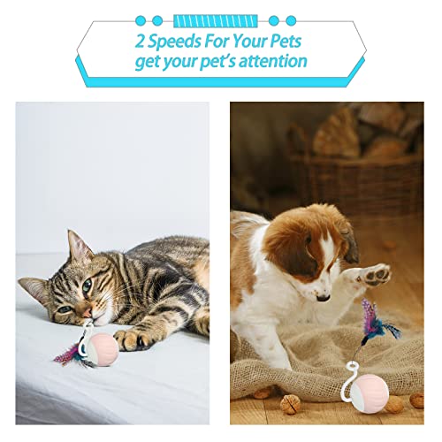 GOGODOGYA Cat toys,Interactive cat toy ball,Indoor Automatic Moving Cat Ball Toys/Puppies Toys,With LED Rainbow Lights,Feathers & USB Charging Cable,Touch control and Sound control Smart Start Cat Toy