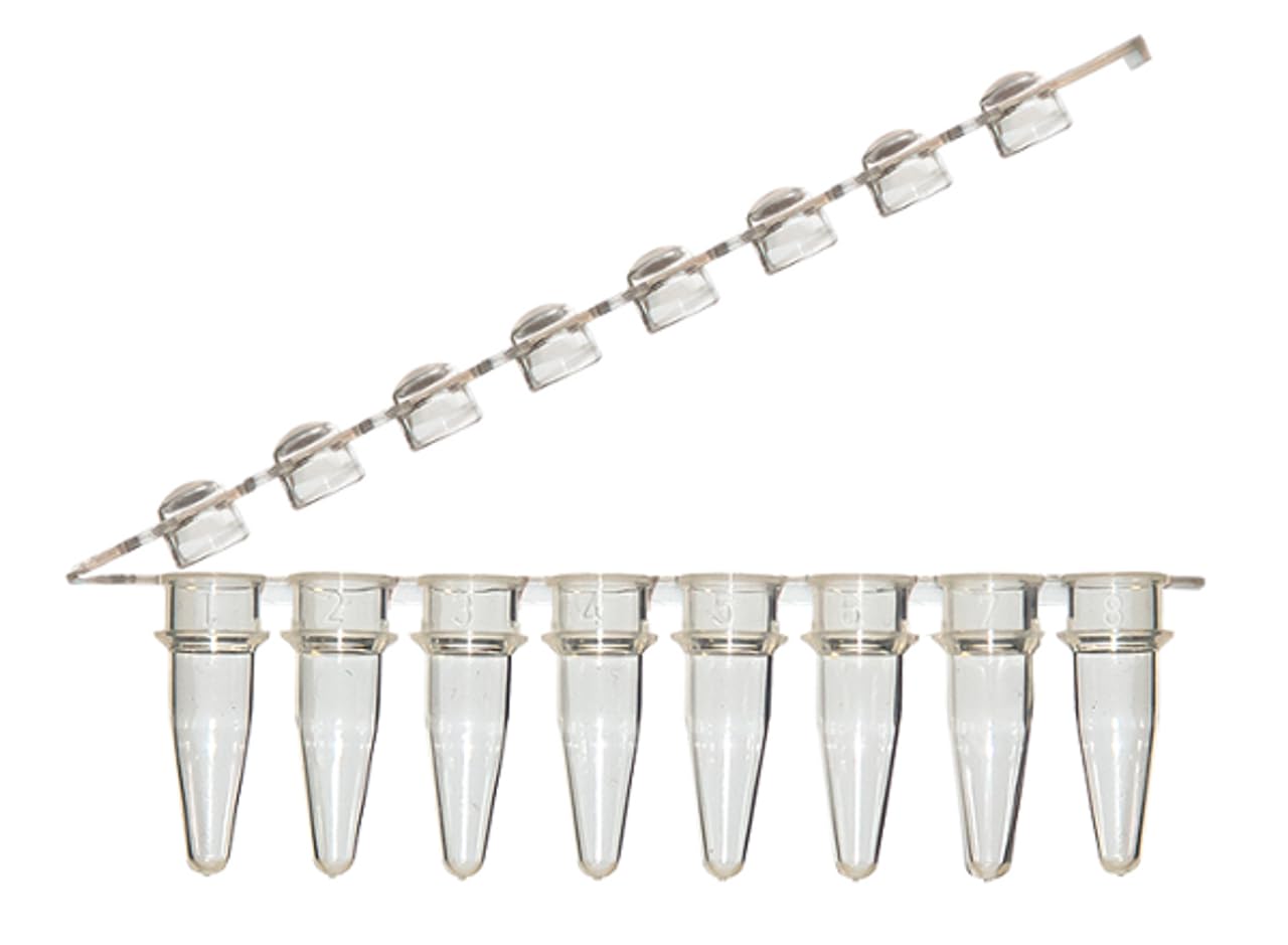 ProAmp™ 0.2mL 8-Strip PCR Tubes w/Caps (0.2ml, EZ-Cut Connectors w/Attached Individual Dome Caps)