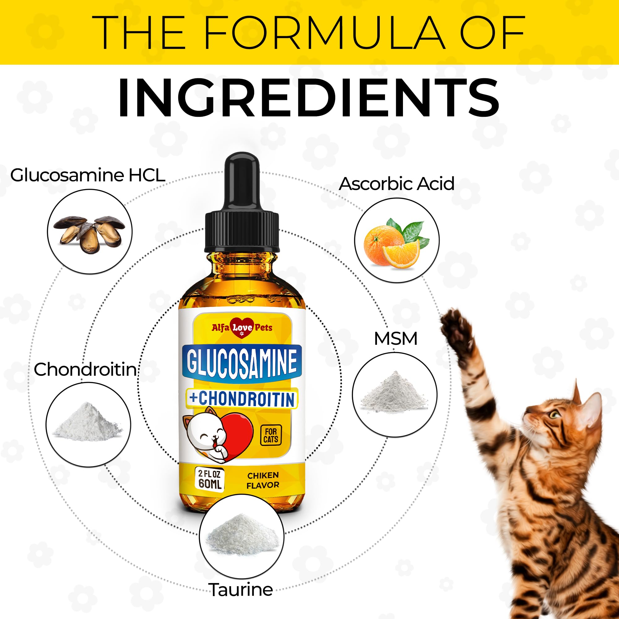 Cat Joint Supplement ✿ Cat Glucosamine ✿ Glucosamine for Cats ✿ Glucosamine Chondroitin for Cats ✿ Glucosamine for Cats Liquid ✿ Joint Supplement for Cats ✿ Chicken Flavor ✿ 2 Pack