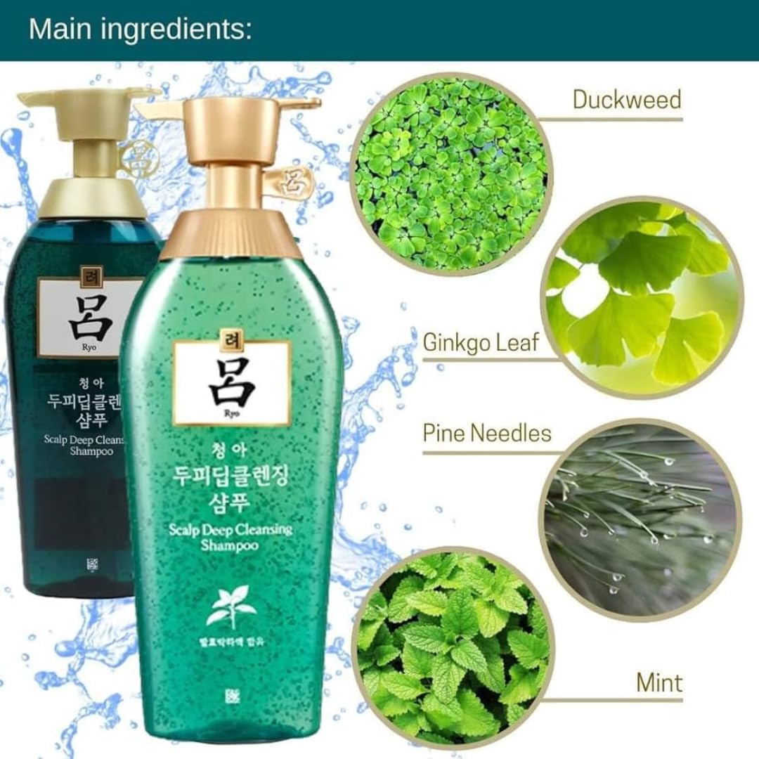 Ryo Scalp Deep Cleansing & Cooling Shampoo 500ml (16.9oz) Excess sebum care, Shampoo for smelly scalp, Fermented mint and other natural ingredients, Anti- Dandruff treatment