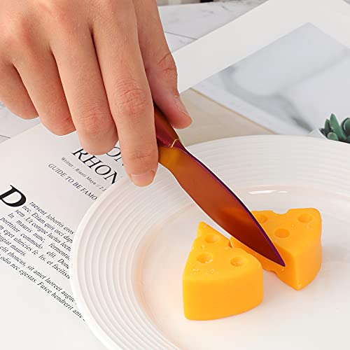 Buyer Star 4 Pack Cheese Knife Set, Stainless Steel Butter Spreader Knives Set in Gift Box, Rainbow Red