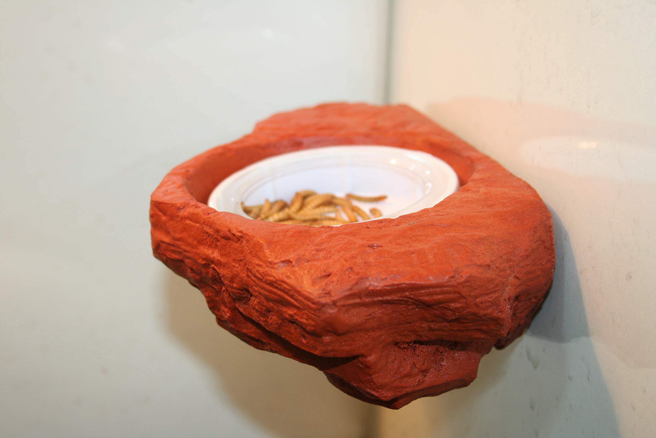 Magnaturals Small Worm Feeder Ledge Mojave Red - Magnetic Decor