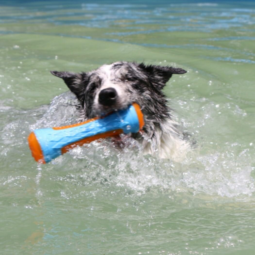 BOSREROY Puppy Dental Cleaning Training Toy Squeaky Pet Interactive Teeth Rubber Portable Throwing Chew Toy Dog Reusable