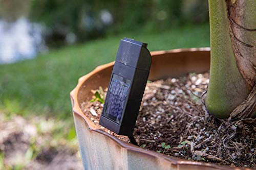 Kenroy Home 60650 Plant Solar Lighting, Small, Black