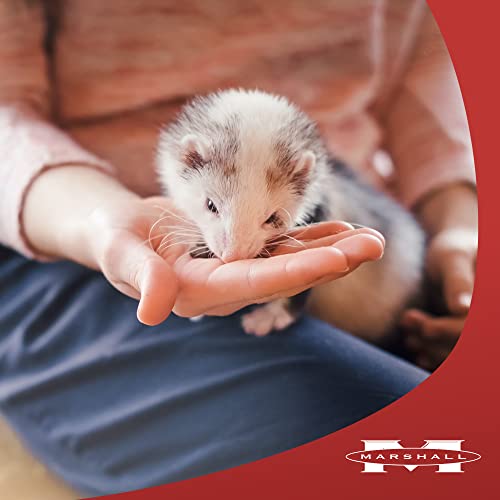 Marshall Pet Products Natural Complete Nutrition Premium Ferret Diet Food with Real Chicken Protein, Highly Digestible, 7 lbs