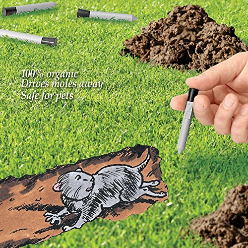 Collections Etc Organic Gopher & Mole Repellent Capsules, Grey
