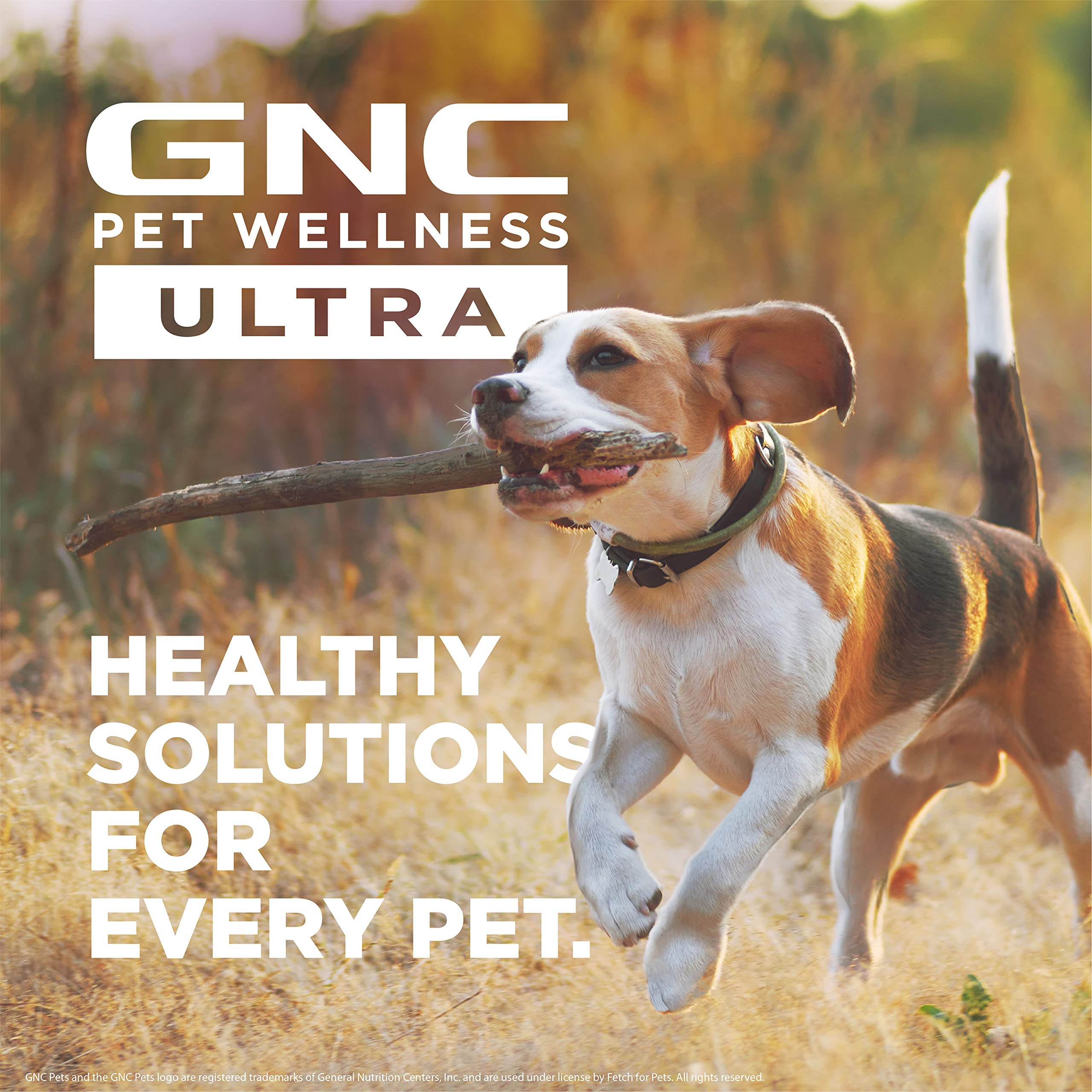 GNC Ultra for Pets Calming Oil Tincture for Dogs, 2 fl. oz | Calming Drops for Dogs | Dog Supplements for Anxiety Supplements for Pets with Stress | Dog Supplements