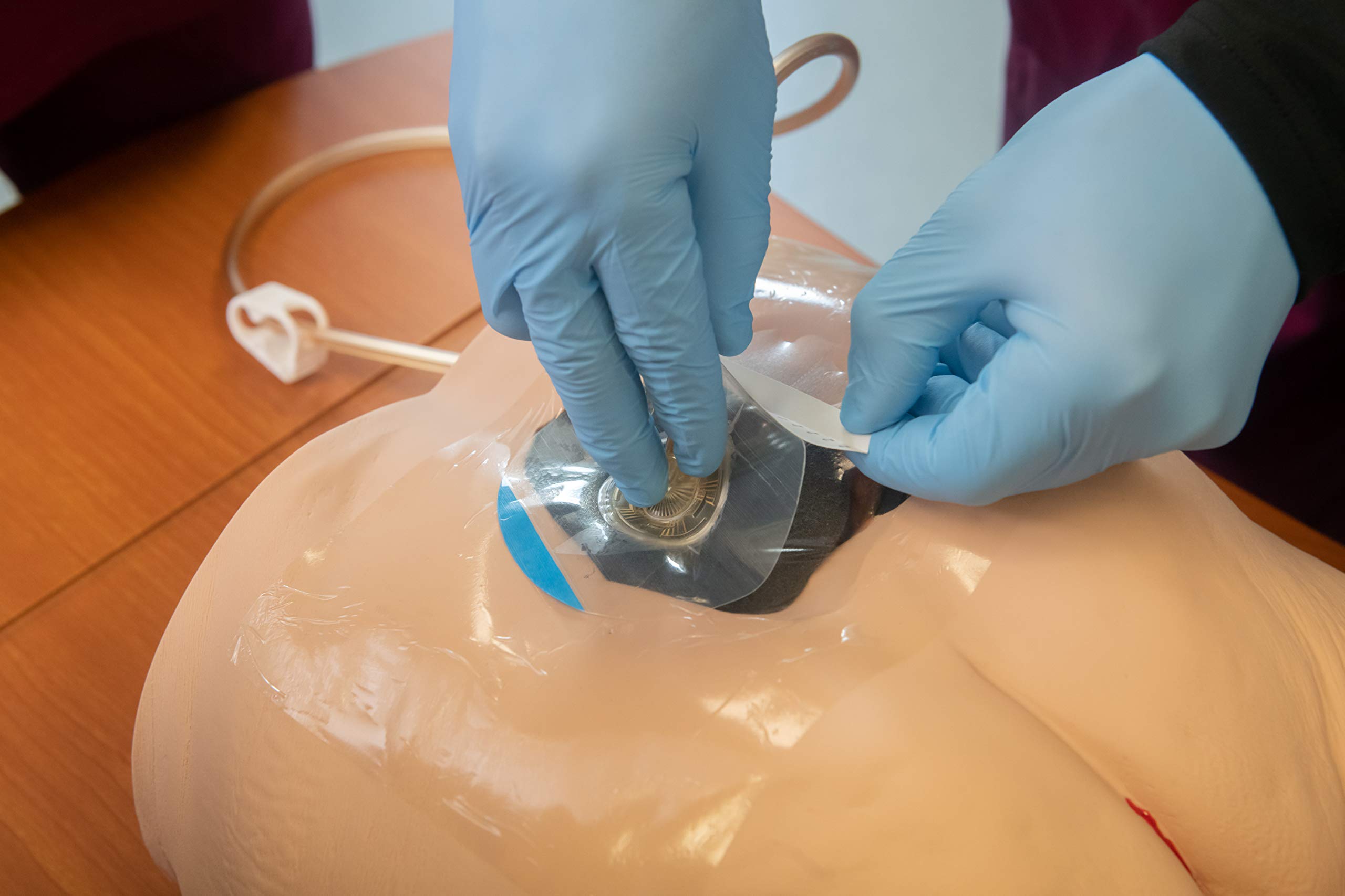 Seymour II" Wound Care Model, Light