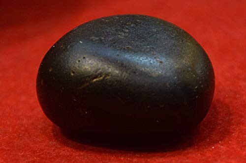 Finaldeals Natural Shaligram Shila Laxmi Narayan Abhimantrit Shree Shaligram For Home Temple
