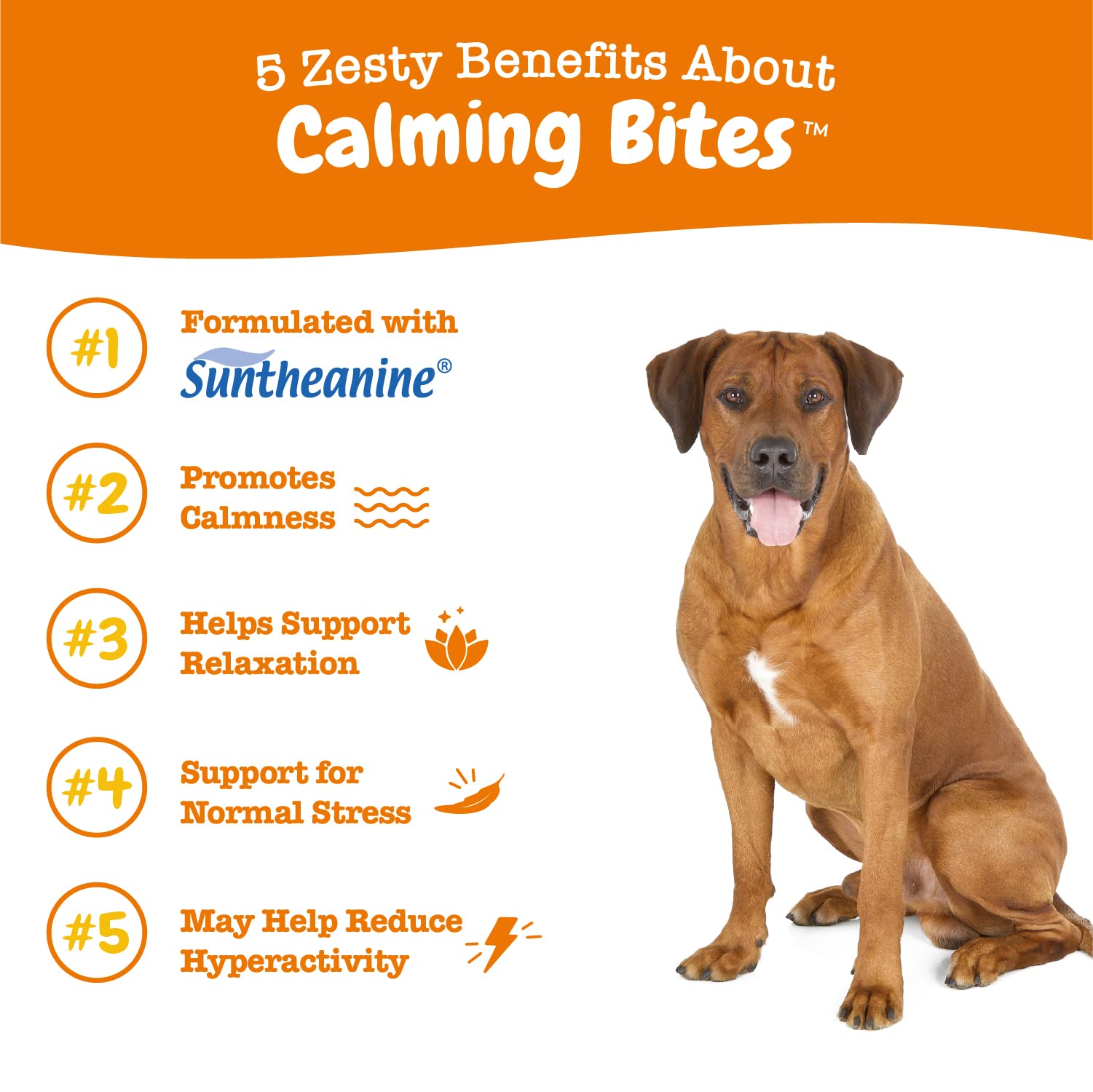 Zesty Paws Calming Soft Chews for Dogs - Composure & Relaxation for Everyday Stress + Multifunctional Supplements for Dogs - Glucosamine Chondroitin for Joint Support