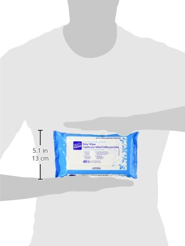 Nice 'N Clean Baby Wipes with Aloe, Travel Pak, Unscented, Hypoallergenic, 40 Wipes