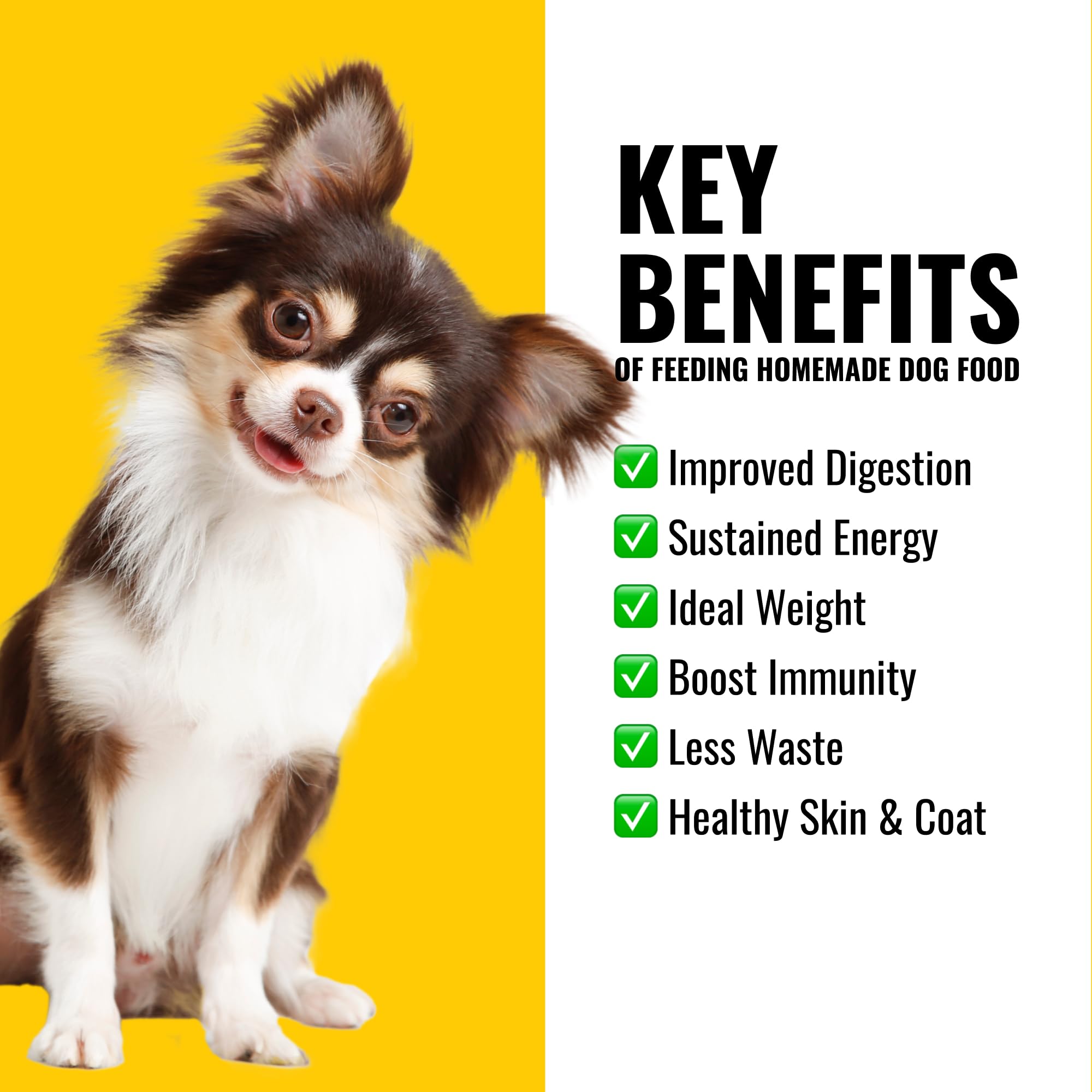 Dog Vitamins Supplements Raw and Homemade Dog Food Multivitamins Minerals Powder 1lb Veggie Flavor