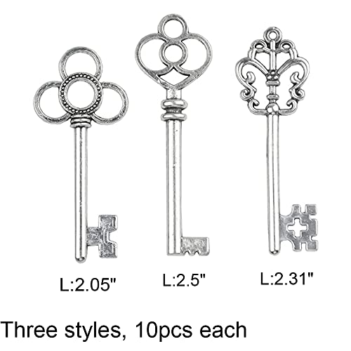 Mixed Set of 30 Large Skeleton Keys in Antique Silver - Set of 30 Keys (Silver Color)