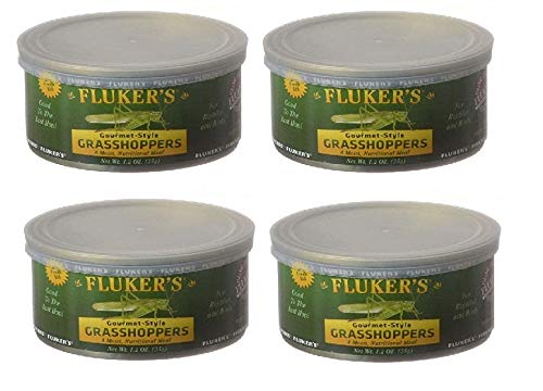 Fluker's Gourmet Style Canned Grasshoppers 1.2 oz - Pack of 4