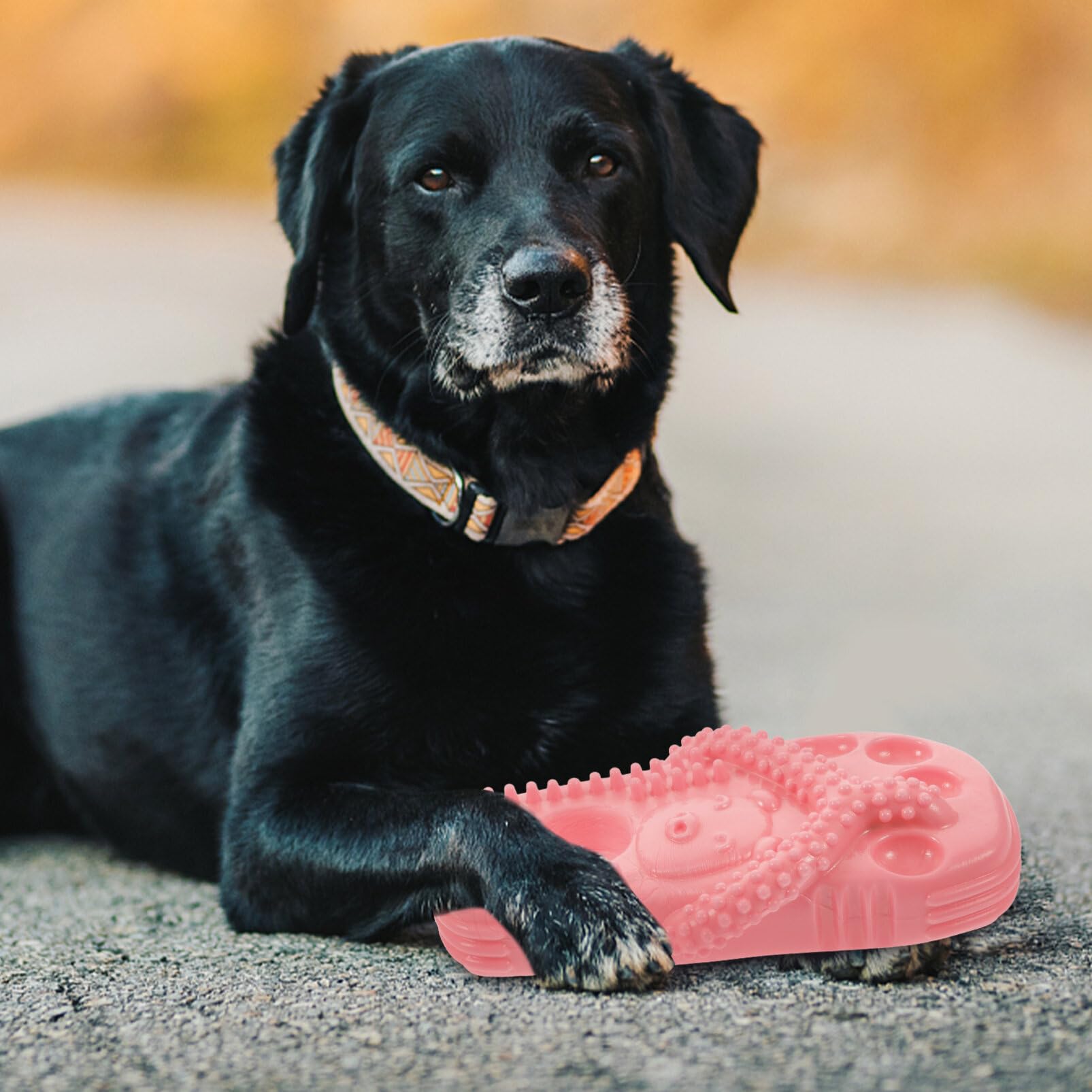 POPETPOP Dog Chew Slipper Shoe Shaped for Teething Puppies Molar Teeth Cleaning Chew Activity