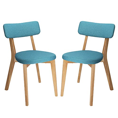 Fishat Simple Double Rod Garment Rack & SAH Solid Wood Dining Chair Set of 2