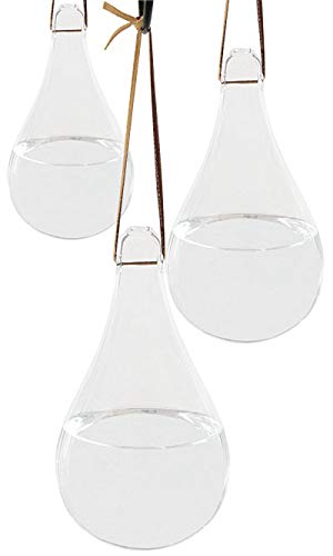 Esschert Design Glass Fly Deterrent