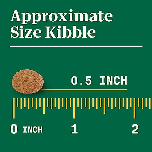 NUTRO NATURAL CHOICE Large Breed Puppy Dry Dog Food, Chicken & Brown Rice Recipe Dog Kibble, 30 lb. Bag