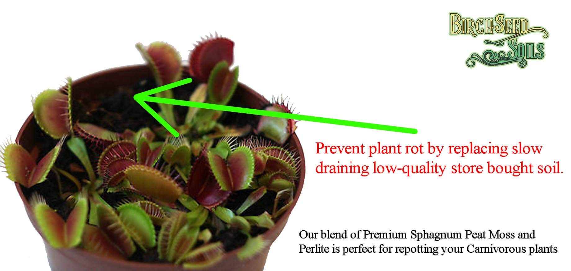 Carnivorous Plant Soil Mix All Natural Perfect for Venus Fly Traps, Pitcher Plants, Butterworts, and Sundews 1 Quart 1-2 Small Plant Size Bag