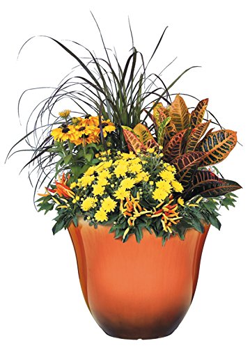 Classic Home and Garden Honeysuckle Resin Flower Pot Planter, Tequila Sunrise, 15"