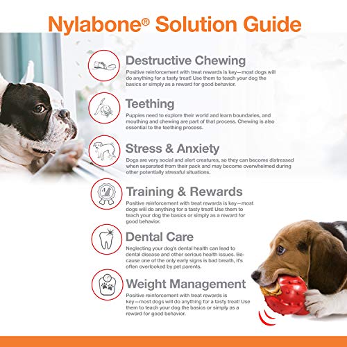 Nylabone Dura Chew Power Chew Textured Bone Flavor Medley Small/Regular (1 Count)