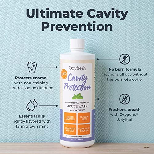 Oxyfresh Cavity Protection Fluoride Mouthwash – Anticavity Mouthwash for Sensitive Teeth – Non-Staining, Alcohol Free – Lasting Fresh Breath. 16 oz.