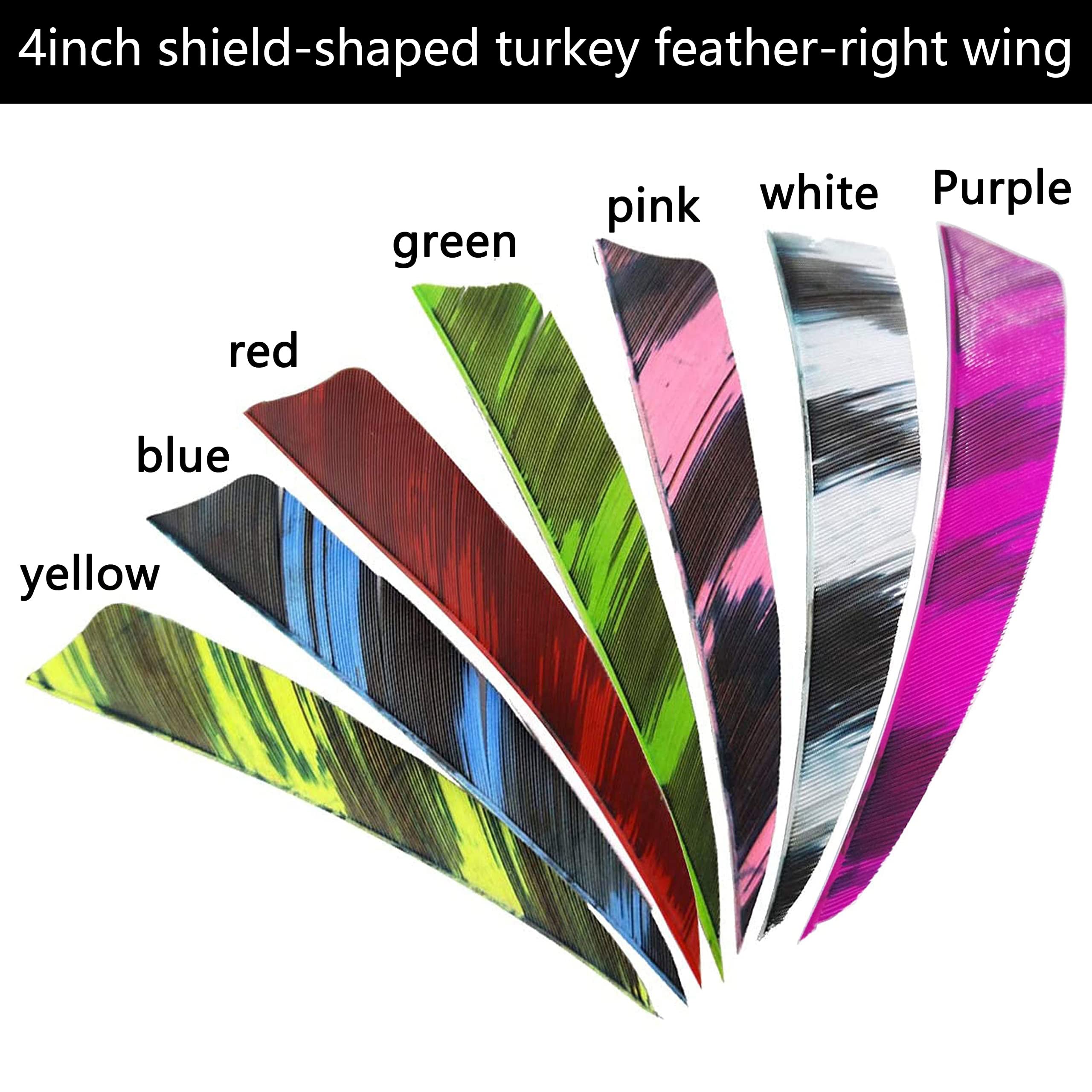 AMEYXGS 4 Inch Arrow Feather Fletching Turkey Feather Natural Arrow Vanes Shield Right Wings Vanes for DIY Arrows Accessories 50Pcs (White)
