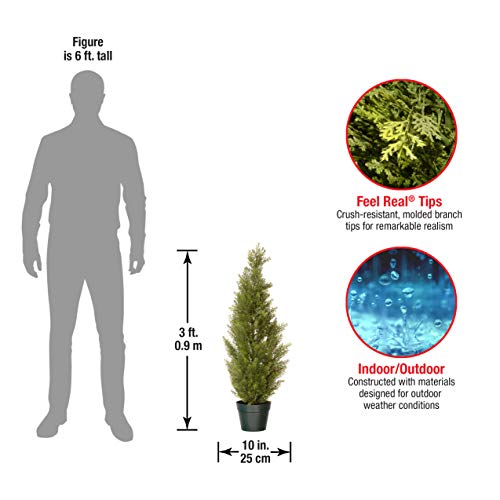 National Tree Company Artificial Shrub | Includes Pot Base | Arborvitae - 36 Inch