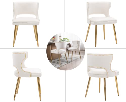 EALSON Velvet Dining Chairs Set of 2 Comfy Upholstered Dining Room Chairs with Gold Metal Legs Modern Accent Kitchen Chairs Armless Side Chairs for Living Room/Dining Room, Beige