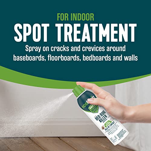 EcoLogic Bed Bug Killer, Case Pack of 12