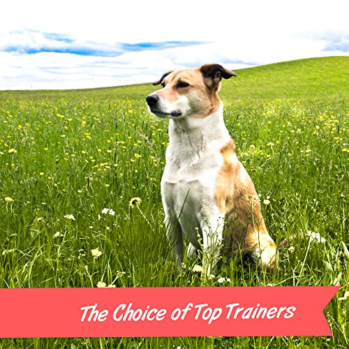 Pet Botanics Training Rewards Treats for Dogs, Made with Real Pork Liver, Focuses, Motivates, Rewards, Speeds Up Learning Curve, No BHA, BHT, Ethoxyquin, Bacon, 20 oz (1 pack)