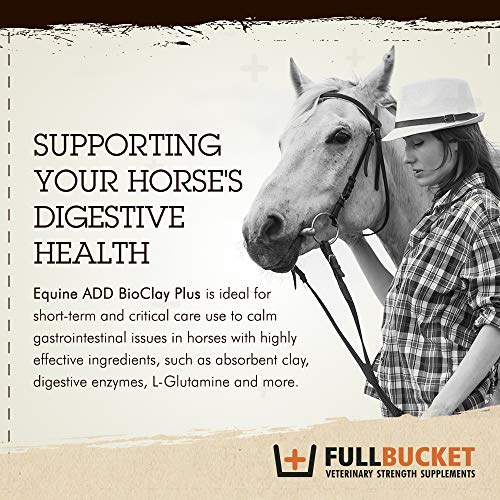 FullBucket Equine ADD BioClay Plus with Saccharomyces Cerevisiae Boulardii for Anti-Diarrhea; Concentrated Formula with 40 Billion CFUs β 1 Tube