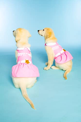 Doggy Parton Pink Cowgirl Collared Dress - S