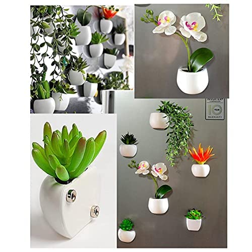 Fridge Magnet Plant Magnets Succulent Magnets Artificial Plants Refrigerator Magnets Fake Succulents Whiteboard Magnet Strong Magnetic Fridge Decoration Magnet for Home Kitchen Decoration (A)
