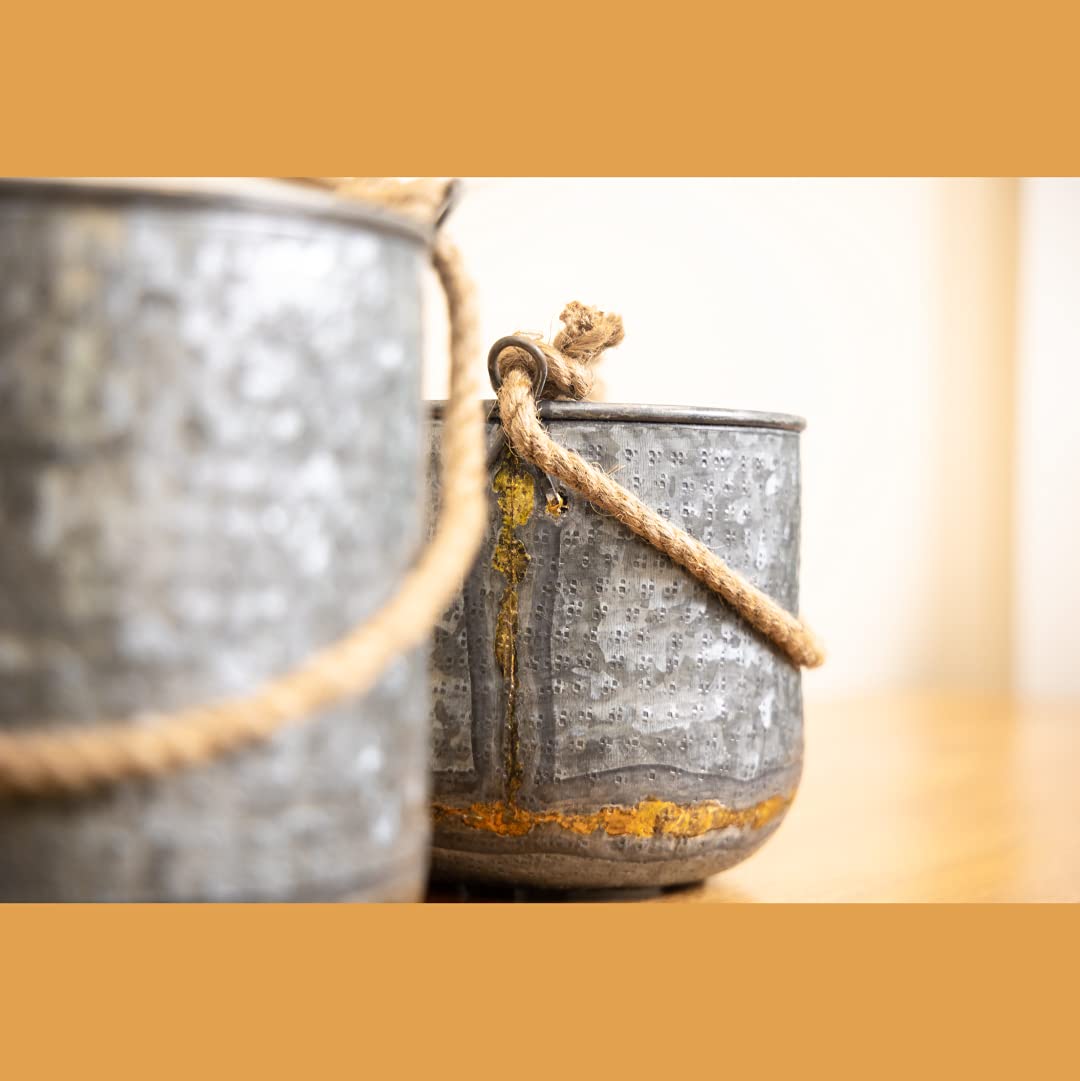 Avera Products Lasso Bucket Set of 2 | Galvanized Metal Bucket Planters for Indoor Plants, Rustic Metal with Gold Weld Trim, includes Drainage Holes
