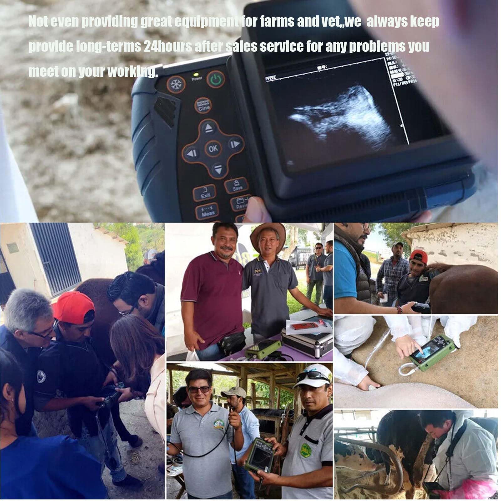 Dawei Vet Ultrasound Machine Portable Veterinary Handheld Scanner B-Ultra Sound with 3.5MHz Probe for pregnancy Pig,Sheep,dog,cat use