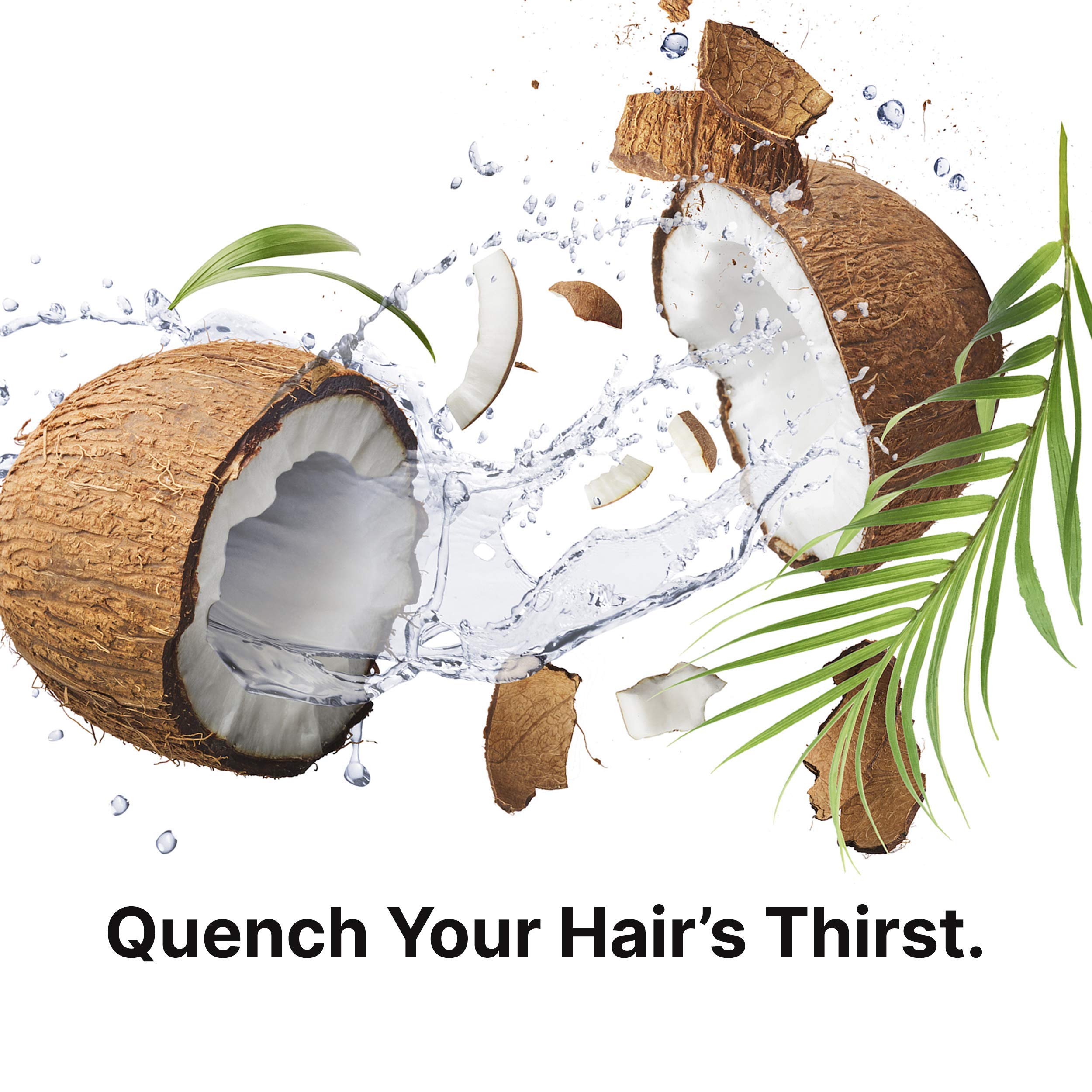 Pure Blends Coco-Colada Shampoo | Daily Use Hydrating Shampoo| Neutral-No Color Shampoo For In Between Color Depositing Washes | Balances Color & Repairs Dry, Damaged Hair | 33.8 Oz.