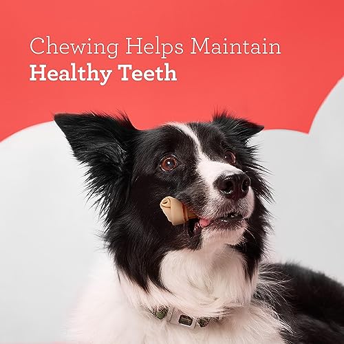 DreamBone Mini Chews With Real Chicken 24 Count, Rawhide-FreeChews For Dogs
