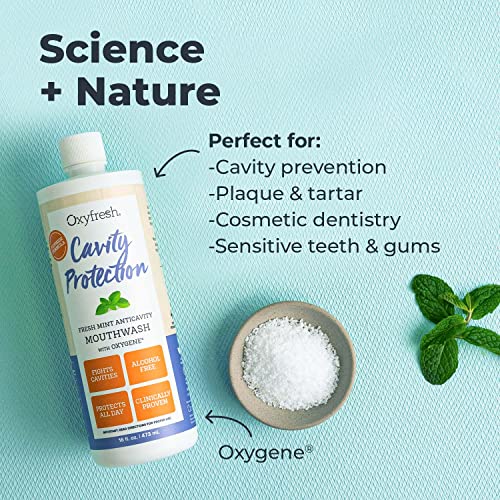 Oxyfresh Cavity Protection Fluoride Mouthwash – Anticavity Mouthwash for Sensitive Teeth – Non-Staining, Alcohol Free – Lasting Fresh Breath. 16 oz.